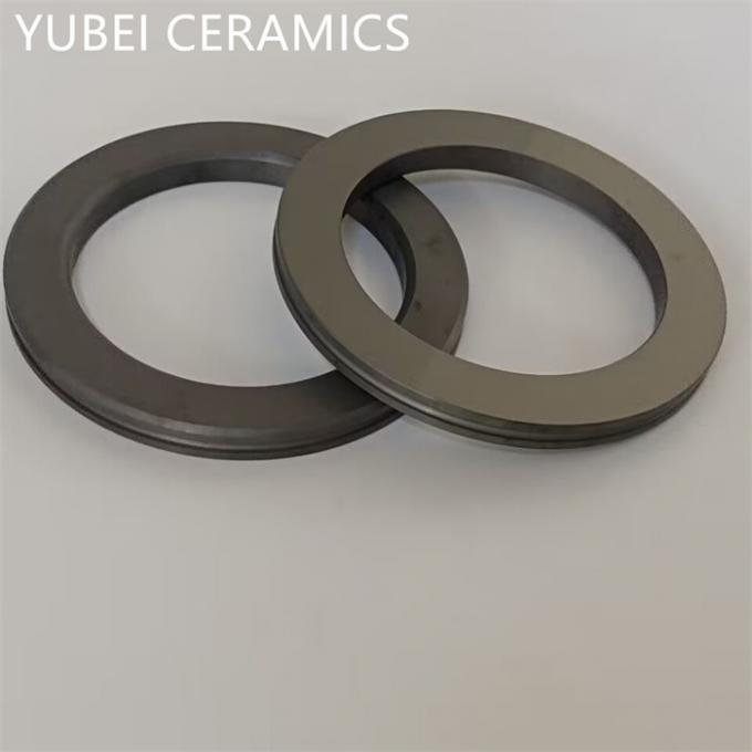 SSiC Silicon Carbide Seal Rings Size Customized O Ring Mechanical Seal